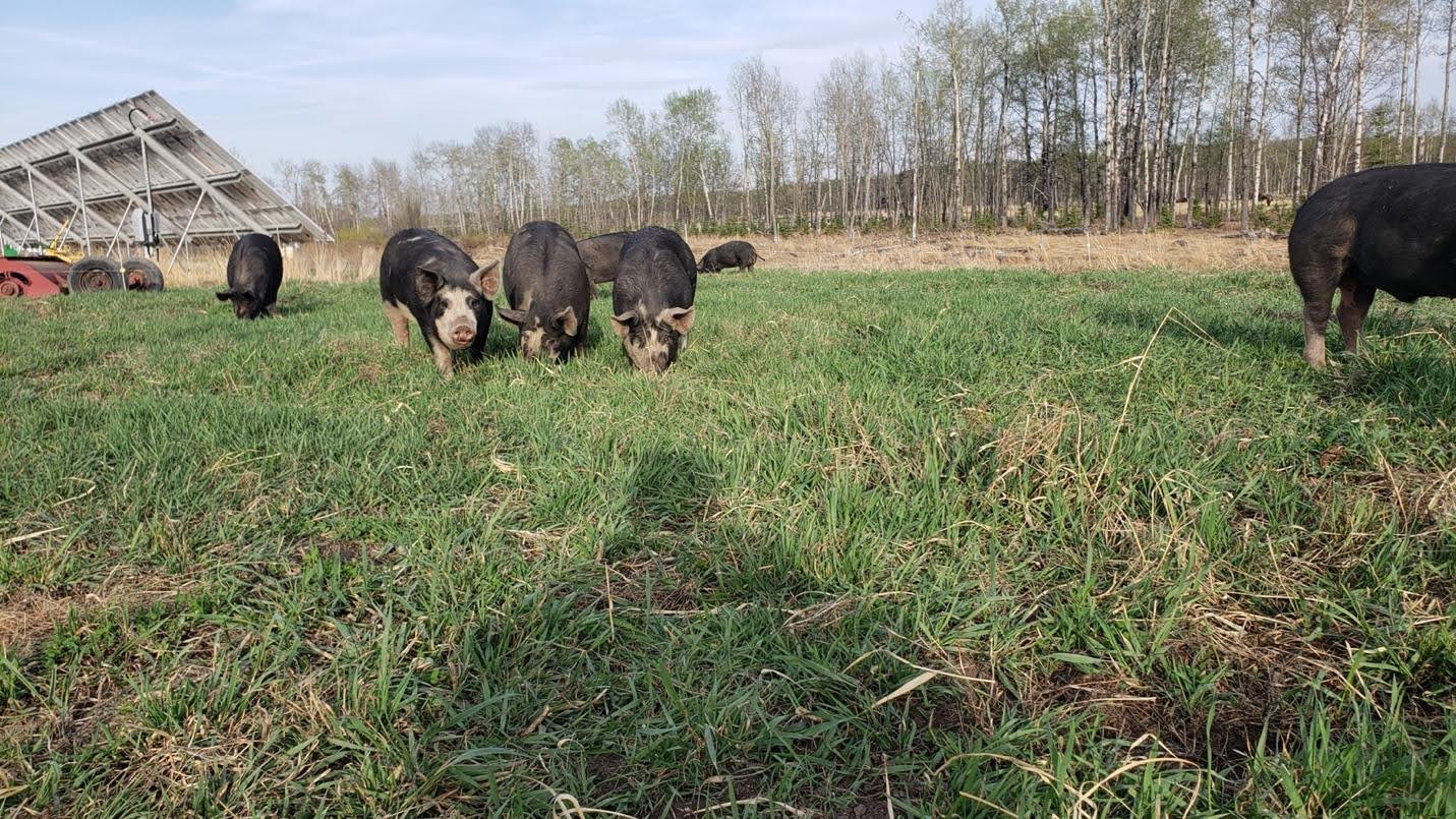 First Nature Farms – First Nature Farms